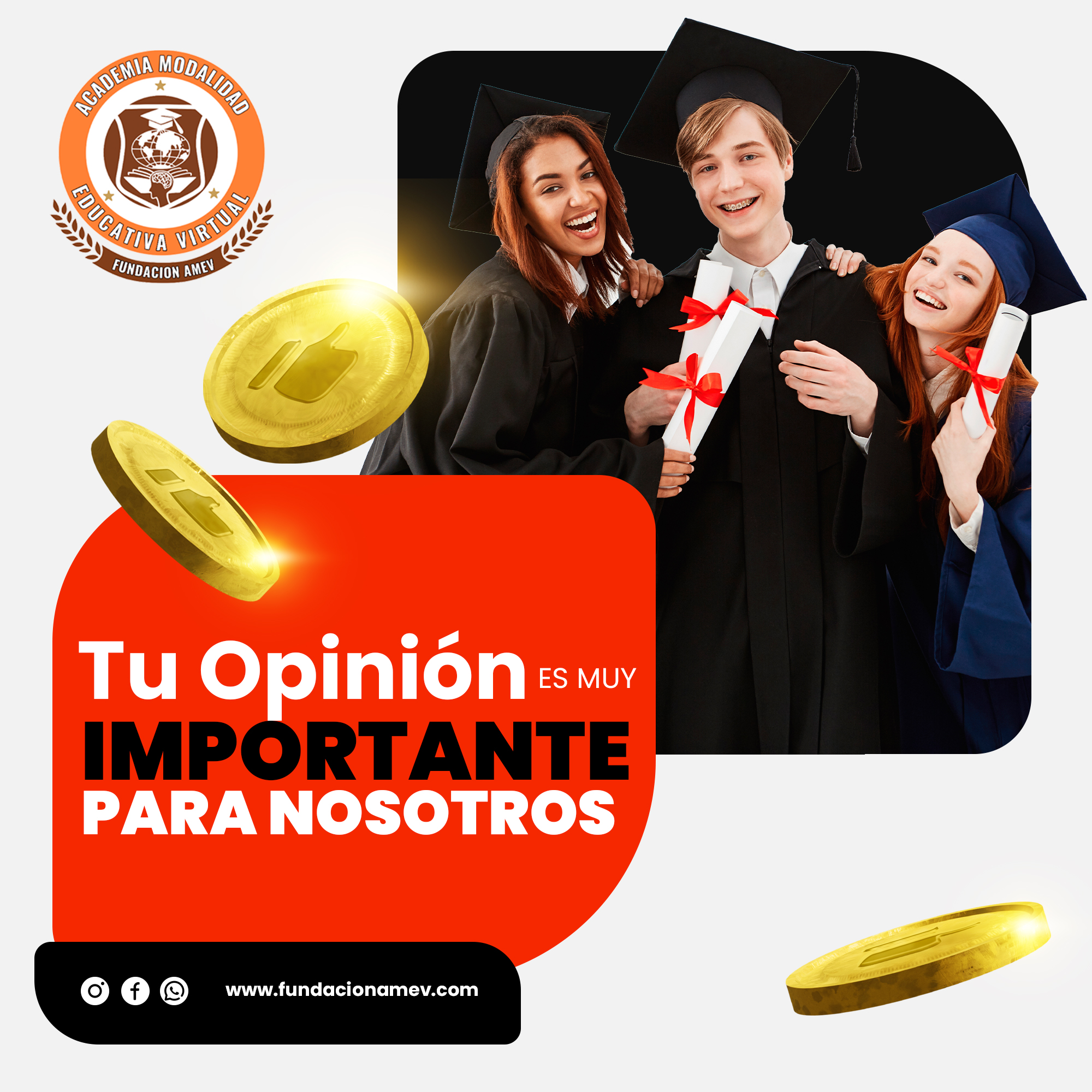 Página Principal | Fundacion Amev